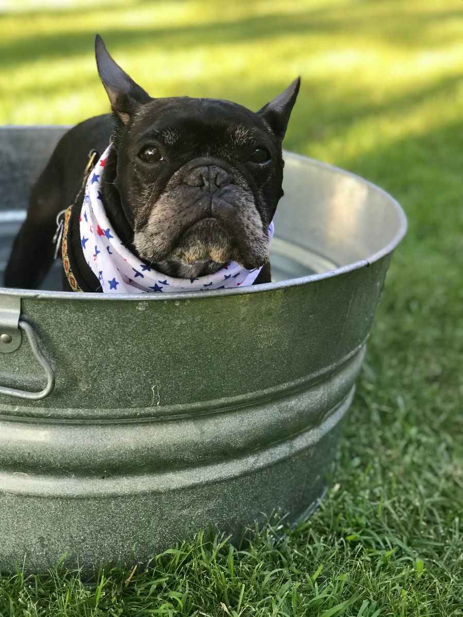 Contact – Going Over There